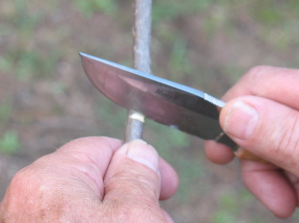 A Good Trick for Notching Arrows without a Saw | Sensible Survival