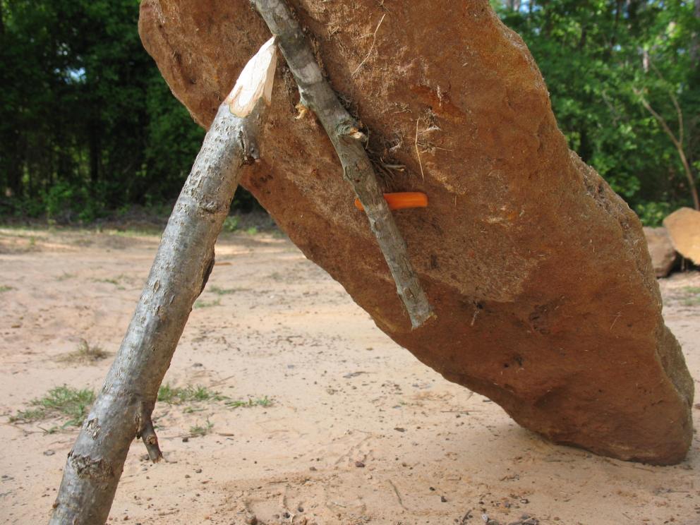 Make a Fast, Simple, and Effective Baited Deadfall Trap | Sensible Survival