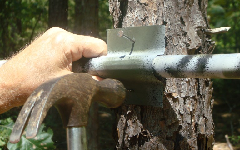 Build a Portable Blind for your Deer Stand | Sensible Survival