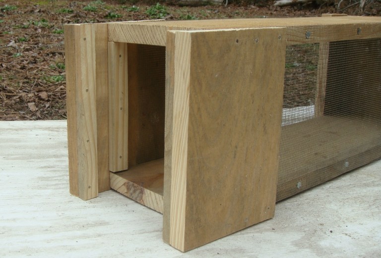 Build a Live Trap | Sensible Survival
