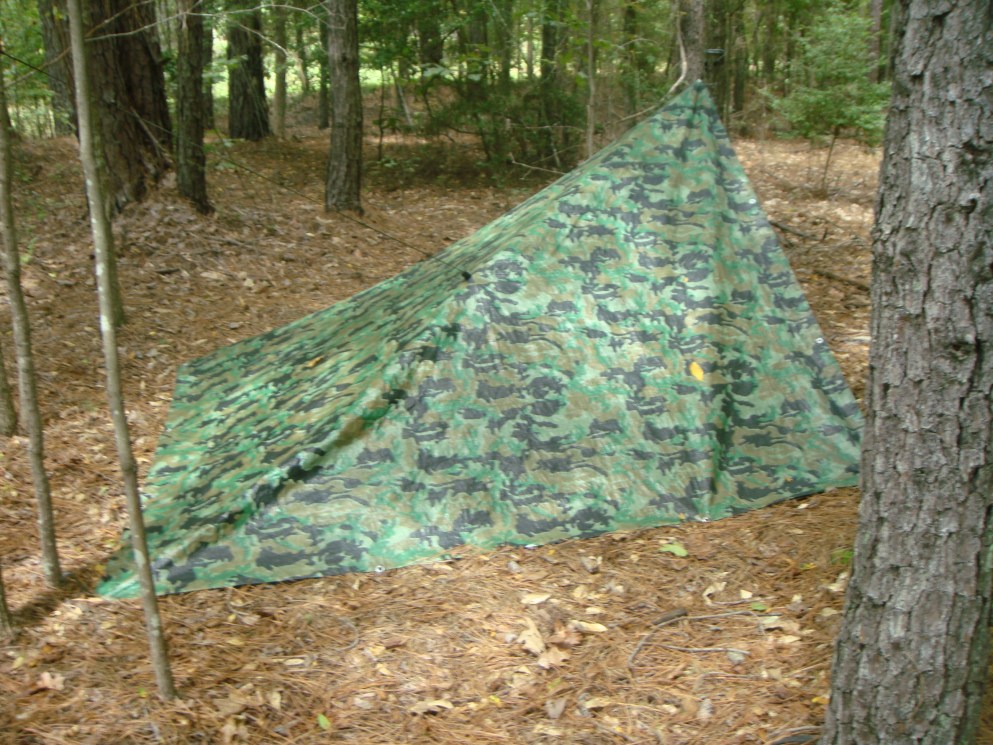 The Plow Point or Diamond Fly Tarp Set-Up | Sensible Survival